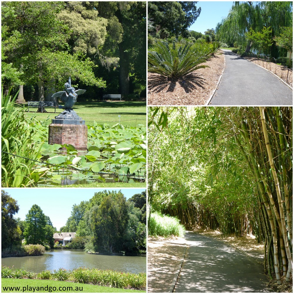 Adelaide Botanic Garden | Review - Play & Go Adelaide