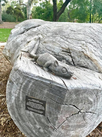 Burnside Adventure Park Playground | Kensington Gardens Reserve ...
