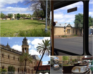 Free City Connector Bus in Adelaide | Explore the City - Play & Go Adelaide