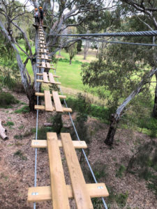 TreeClimb Aerial Adventure Park | Adelaide | What You Need to Know ...