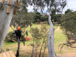 TreeClimb Aerial Adventure Park | Adelaide | What You Need to Know ...