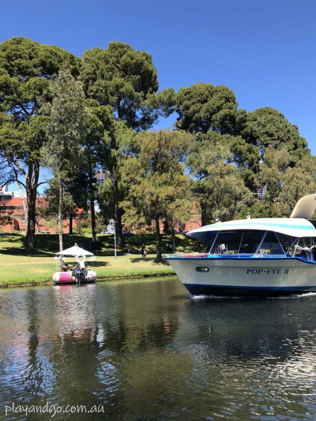 Adelaide's Own Popeye | Boat Ride Along the River Torrens - Play & Go ...