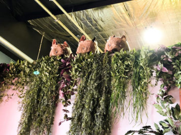 Funtopia Prospect - Adelaide's Largest Indoor Adventure Playground ...