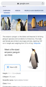 Google 3D Animals | Google Augmented Reality - Play & Go Adelaide