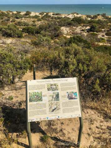 Exploring the Tennyson Dunes Discovery Trail | Review - Play & Go Adelaide