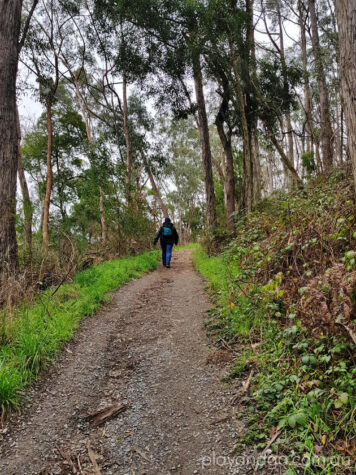 Bushwalking with Kids at Mount George Conservation Park | Adelaide ...