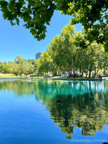 Rymill Park Lake Upgrade Complete | Open from April 2024 - Play & Go ...