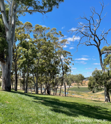 Lot 100 Adelaide Hills | Family Friendly Restaurant | Review - Play ...