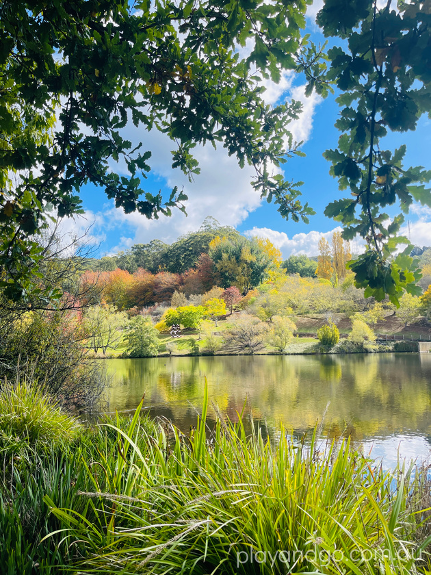 Family Friendly Guide to the Adelaide Hills - Play & Go Adelaide