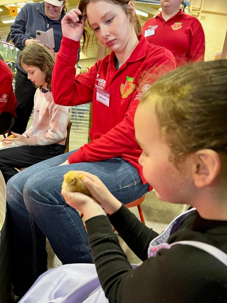 Royal Adelaide Show | Adelaide Showground | 2-10 Sep 2023 - Play & Go ...