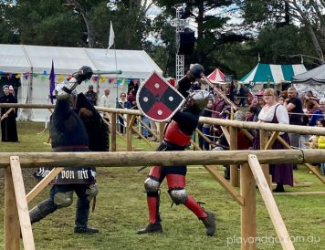 SA Medieval Fair | Paracombe | Review - Play & Go Adelaide