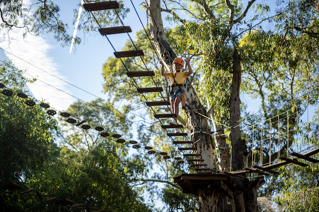 TreeClimb | Aerial Adventures | October School Holidays 2022 - Play ...