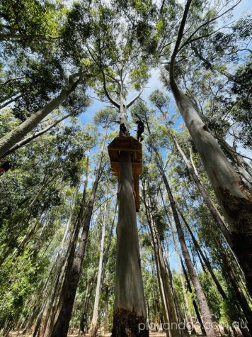 TreeClimb Aerial Adventure Park | Adelaide & Kuitpo Forest | What You ...
