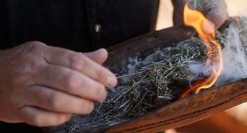 Field River Walk & Talk Tours | City of Marion | 5 Nov & 10 Dec 2022 ...