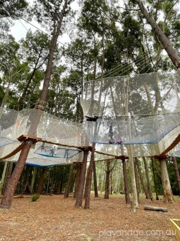TreeClimb Aerial Adventure Park | Adelaide & Kuitpo Forest | What You ...