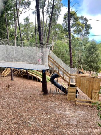 TreeClimb Aerial Adventure Park | Adelaide & Kuitpo Forest | What You ...