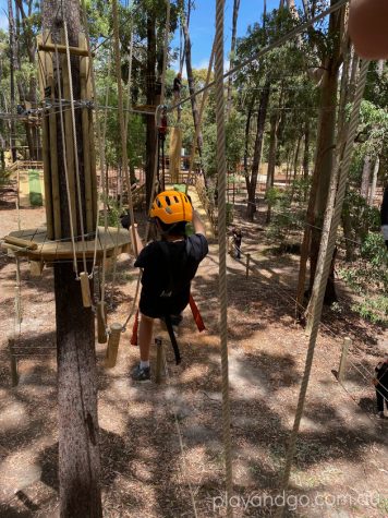 TreeClimb Aerial Adventure Park | Adelaide | What You Need to Know ...