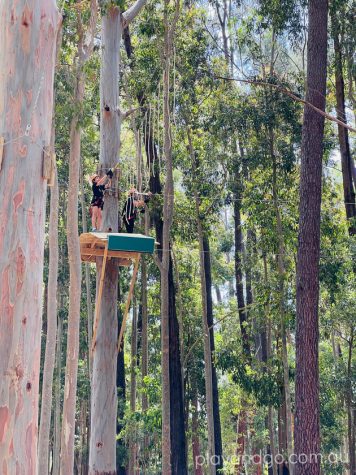 TreeClimb Aerial Adventure Park | Adelaide | What You Need to Know ...