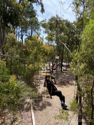 TreeClimb Aerial Adventure Park | Adelaide | What You Need to Know ...