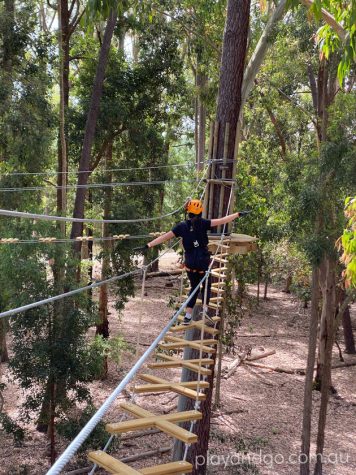 NEW TreeClimb in Salisbury | Opening January 2025 - Play & Go Adelaide