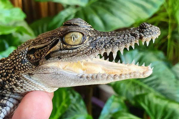 Play at the Bay Spring Edition! | City of Holdfast Bay | October School ...