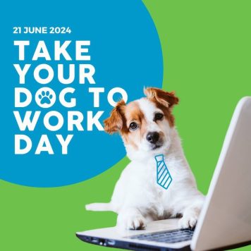 National Take Your Dog to Work Day | 21 Jun 2024 - Play & Go Adelaide