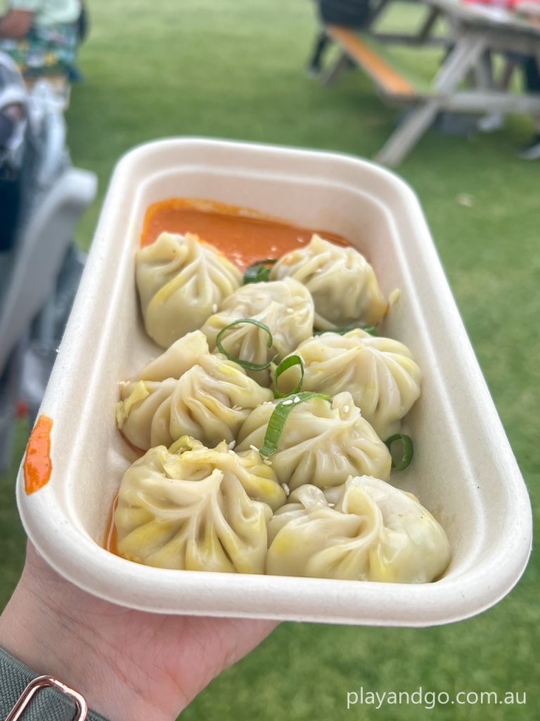 Lucky Dumpling Market 2024 | OzAsia Festival | Review - Play & Go Adelaide