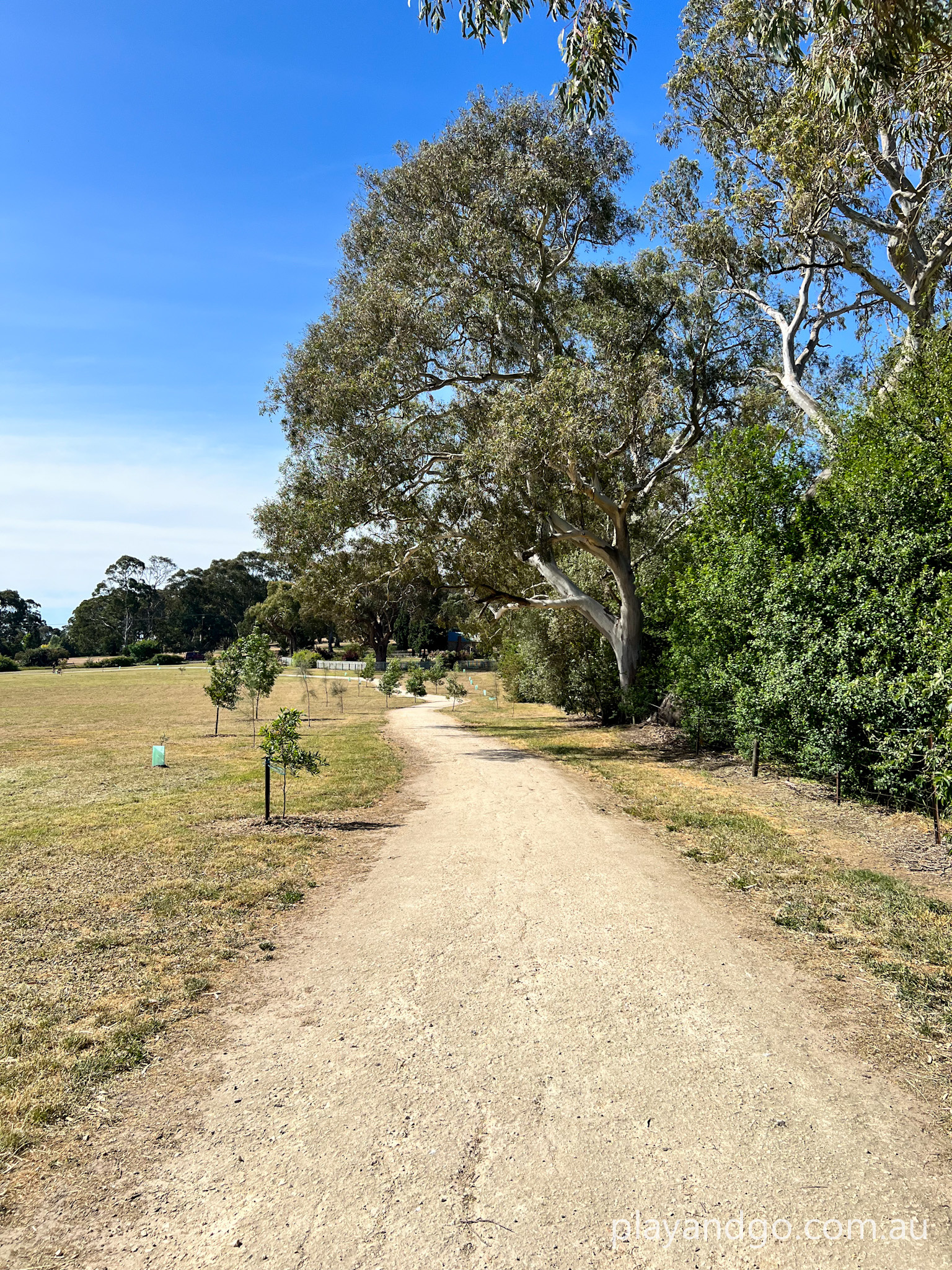 The Glebe Playground | Littlehampton | Review - Play & Go Adelaide
