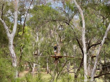 TreeClimb | Salisbury | Review - Play & Go Adelaide