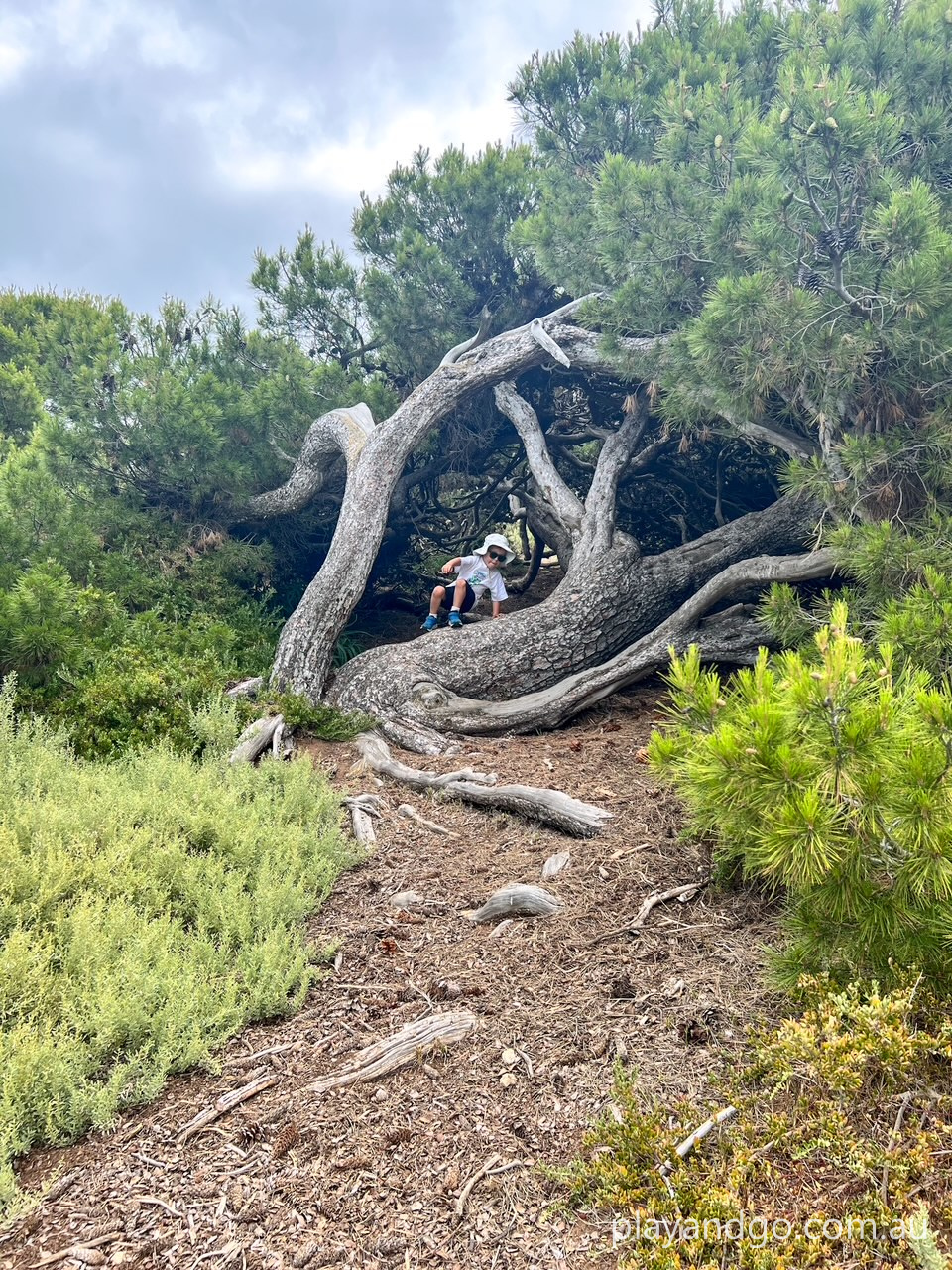 Harbourmasters Walking Trail | Port Elliot - Play & Go Adelaide