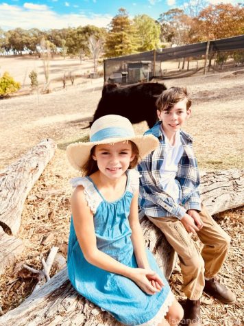 Cuddle a Cow l The Farm - Clarendon l Review - Play & Go Adelaide