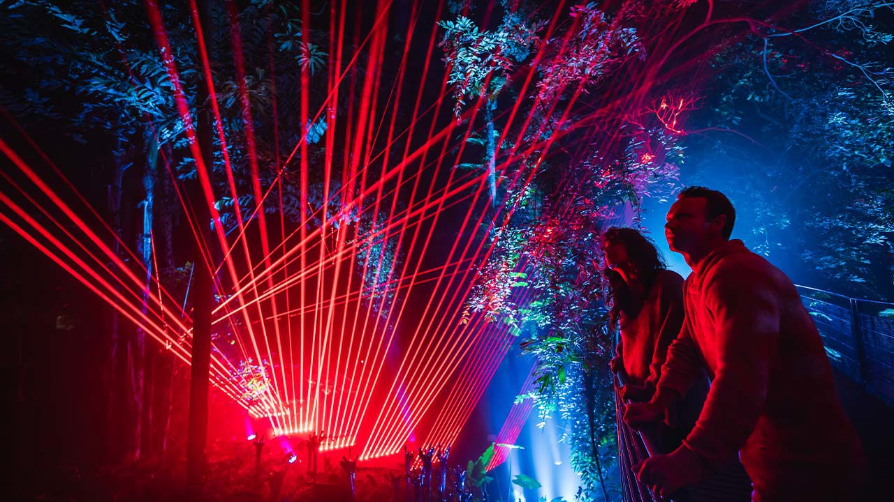 Night Visions | Adelaide Botanic Garden | Illuminate Adelaide 2025 | 2 ...