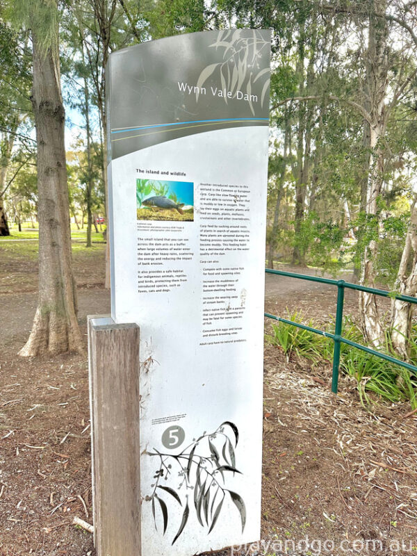 Wynn Vale Dam and Playground | Review - Play & Go Adelaide