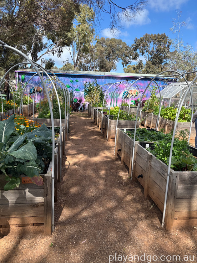 Storytime at the City of Playford | Wombat Stew 40th Anniversary - Play ...