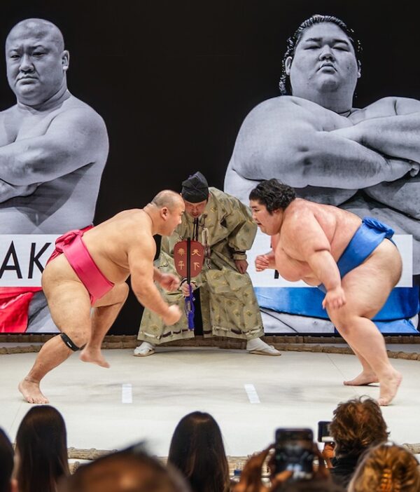 The Sumo Show HIRAKUZA | Adelaide Fringe 2026 - Play & Go Adelaide